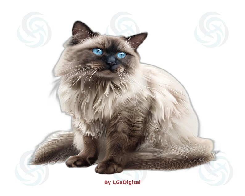 196 Birman Clipart Realistic Clipart Transparent Background Digital ...