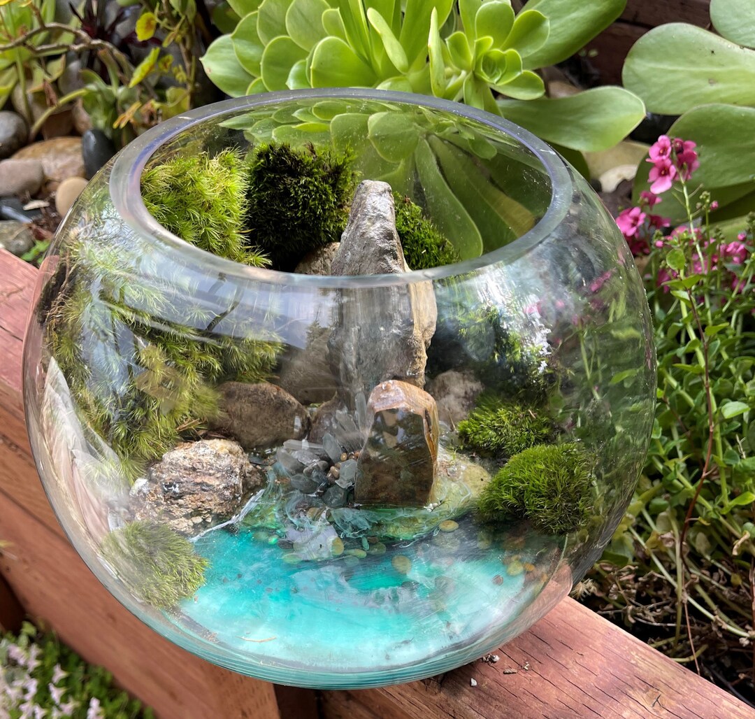 Turquoise Water Oasis Terrarium With Live Moss and Natural - Etsy