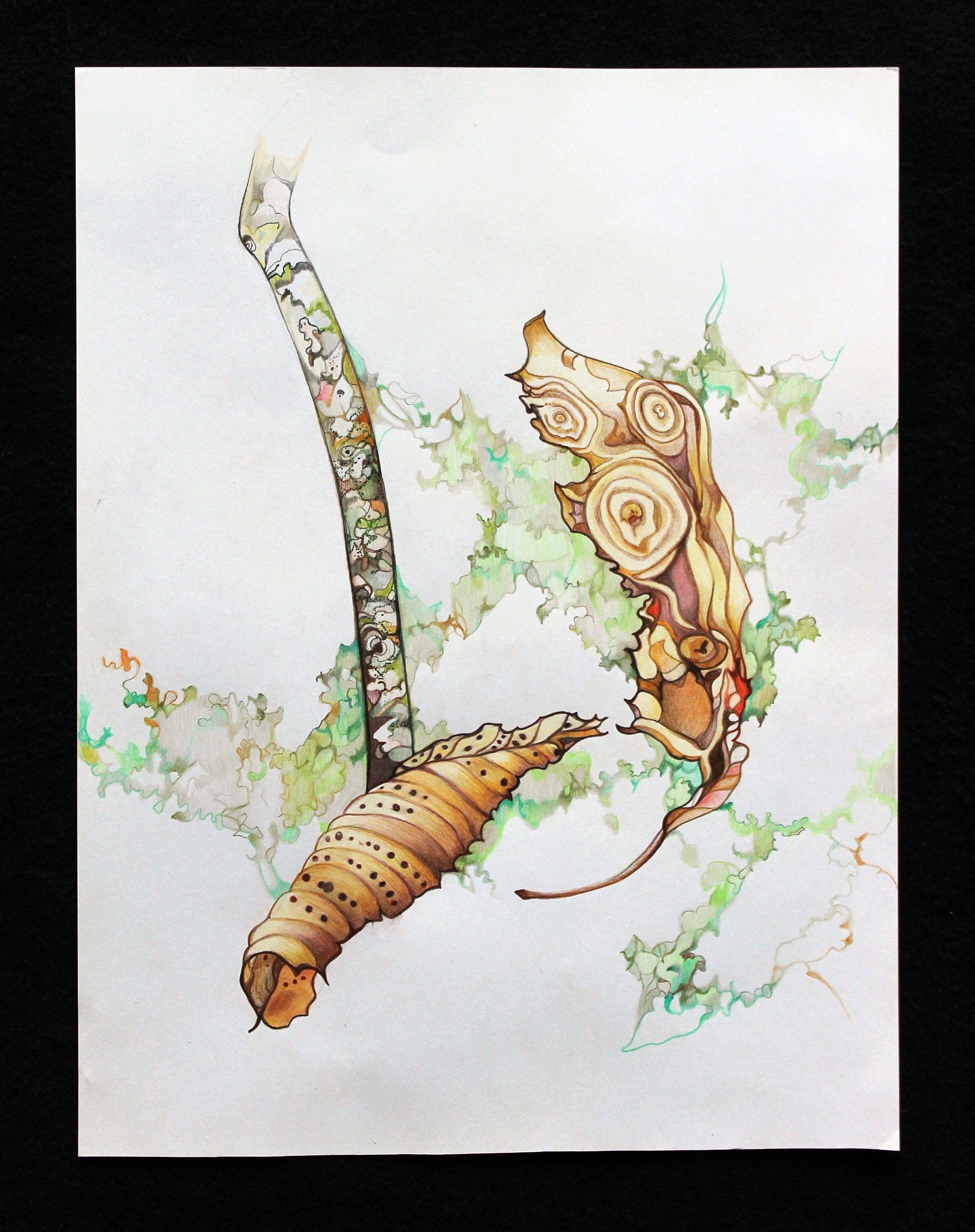 Original Colored Pencil Drawing on Paper 8.5 X - Etsy