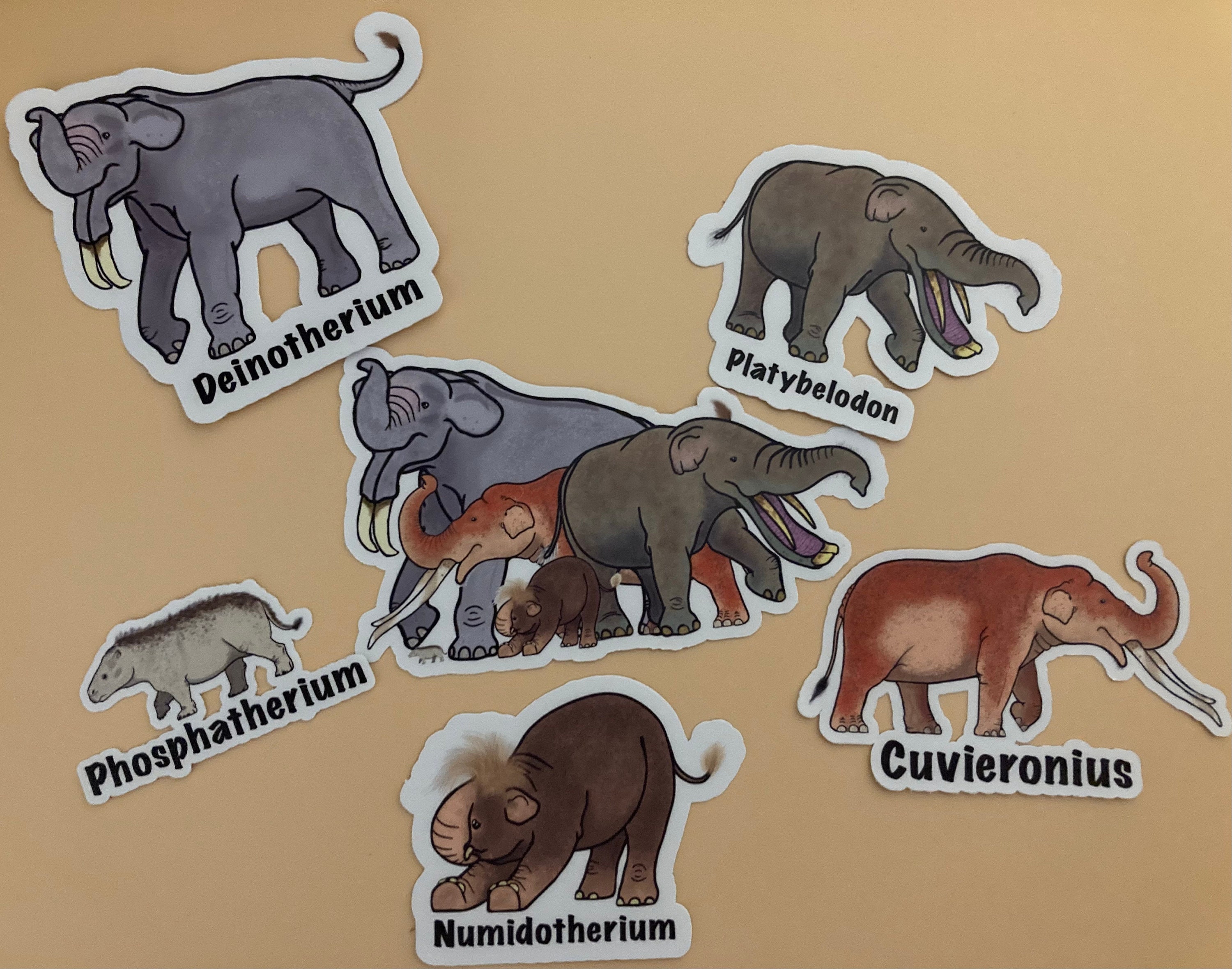 Numidotherium 2.5” - Etsy