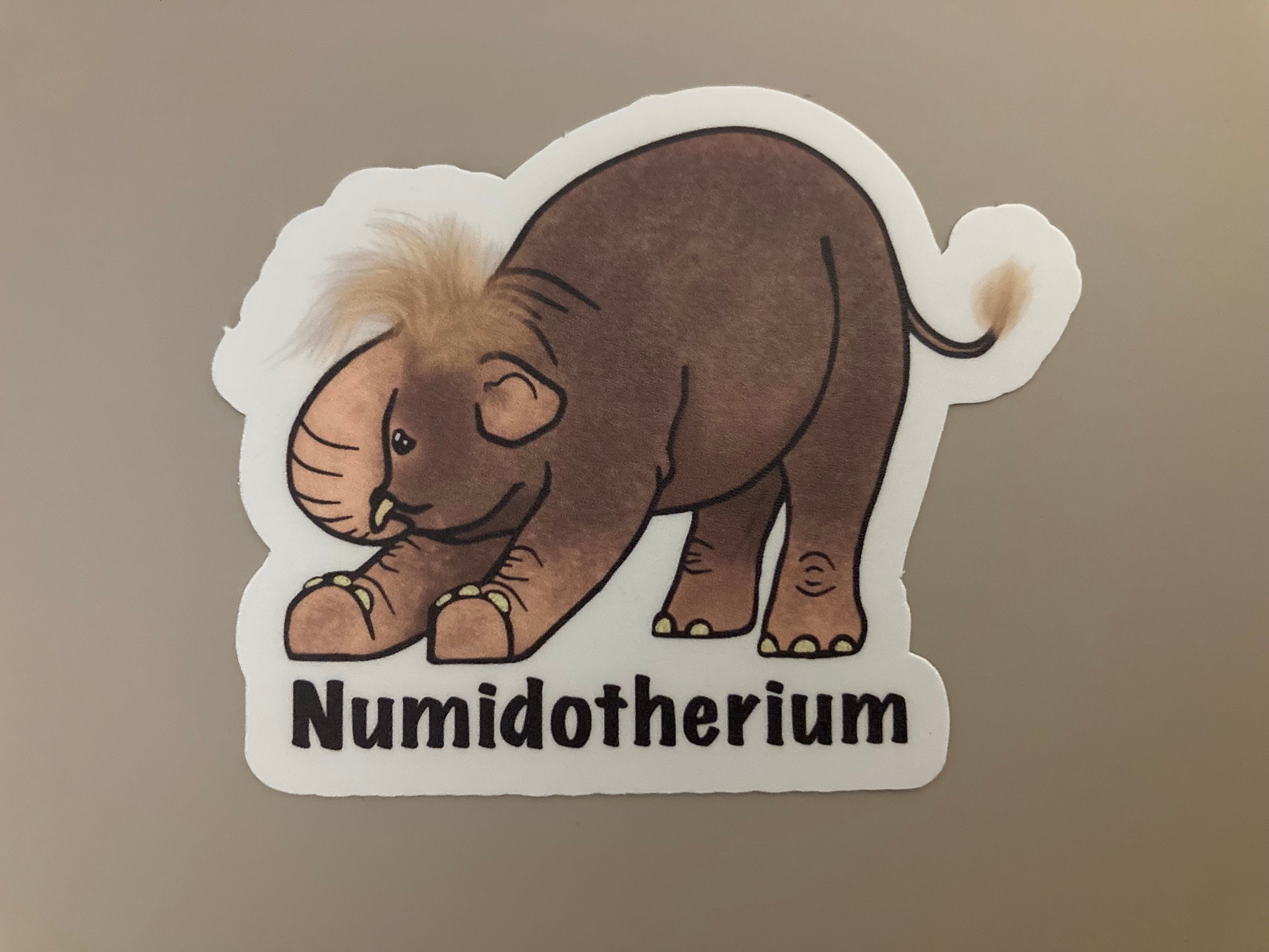 Numidotherium