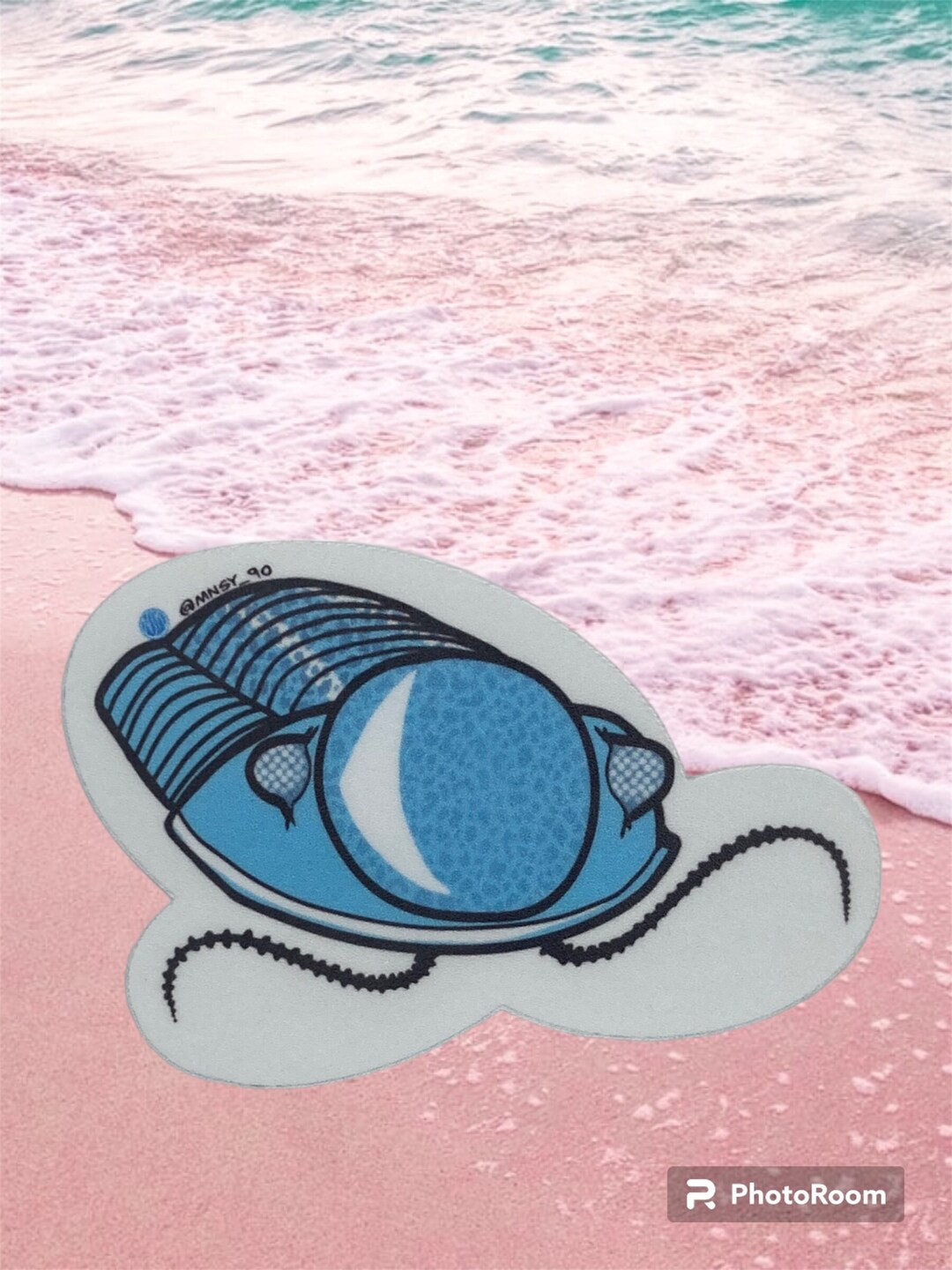 Proetus Trilobite 2.5” - Etsy