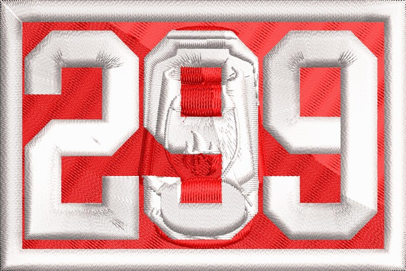 Custom Made Cub Scout Pack And/or Troop Numbers With "hidden" Image ...
