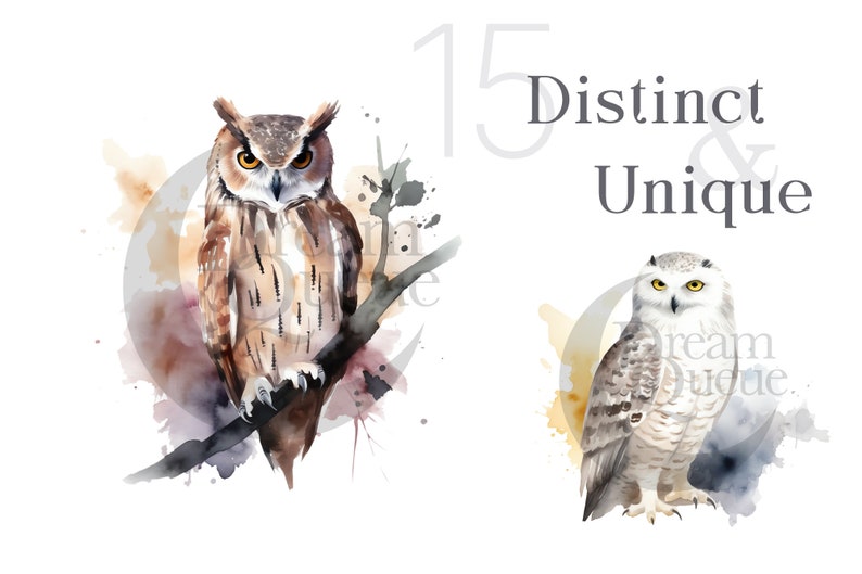 Watercolor Wise Owl Clipart, Bird Clipart, Digital Graphics for ...