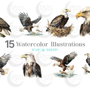 Watercolor Bald Eagle Clipart, Digital Graphics for Commercial Use ...