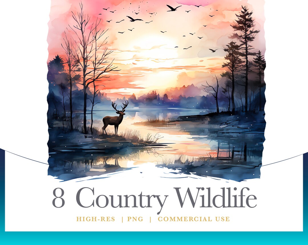 Watercolor Wildlife Clipart, Hunting, Digital Graphics for Commercial ...