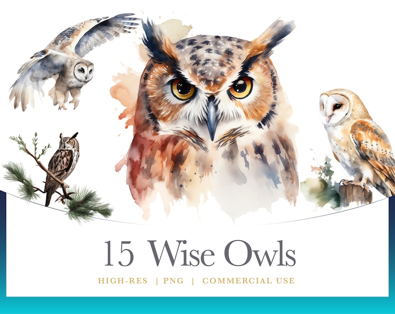 Watercolor Wise Owl Clipart, Bird Clipart, Digital Graphics for ...