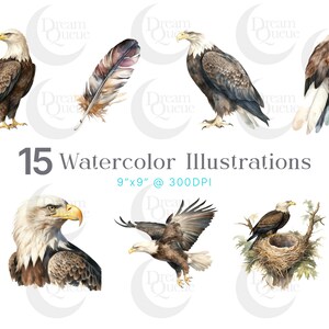 Watercolor Bald Eagle Clipart, Digital Graphics for Commercial Use ...