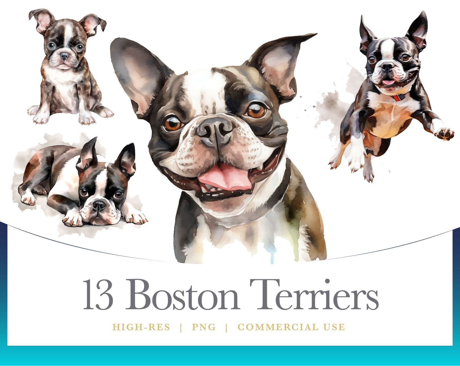 Watercolor Boston Terrier Clipart, Cute Dog Clipart, Digital Graphics ...