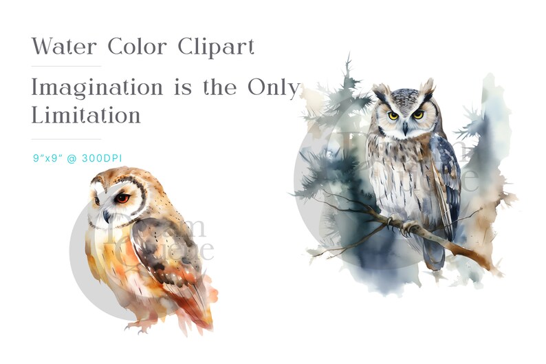 Watercolor Wise Owl Clipart Bird Clipart Digital Graphics - Etsy