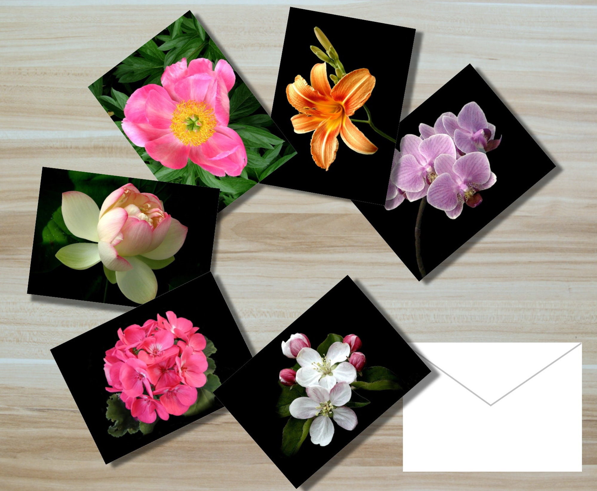 Flower Photo Greeting Cards - Flower Photo Note Cards - Photo Art Cards ...