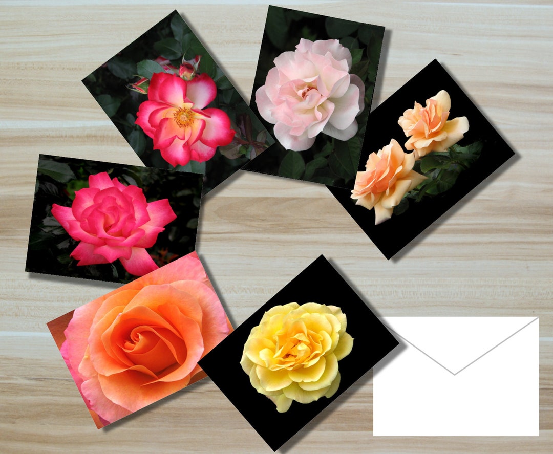 Flower Photo Greeting Cards - Flower Photo Note Cards - Photo Art Cards ...
