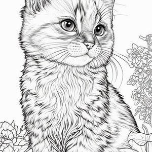 Cat Collection Vol 3 Coloring 25 Pages - Etsy