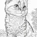 Cat Collection Vol 3 Coloring 25 Pages - Etsy