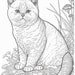 Cat Collection Vol 1 Coloring 25 Pages - Etsy