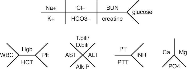 Nurse Jot Sheet Nursing Brain Instant Download Printable Nursing ...