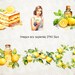 Lemon Watercolor Clipart Bundle, Craft Making, PNG Clipart, Junk ...