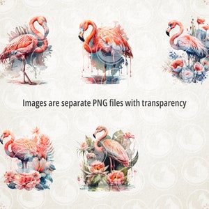 Watercolor Flamingo Clipart. Tropical Birds With Flowers in PNG Format ...