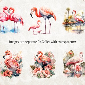 Watercolor Flamingo Clipart. Tropical Birds With Flowers in PNG Format ...
