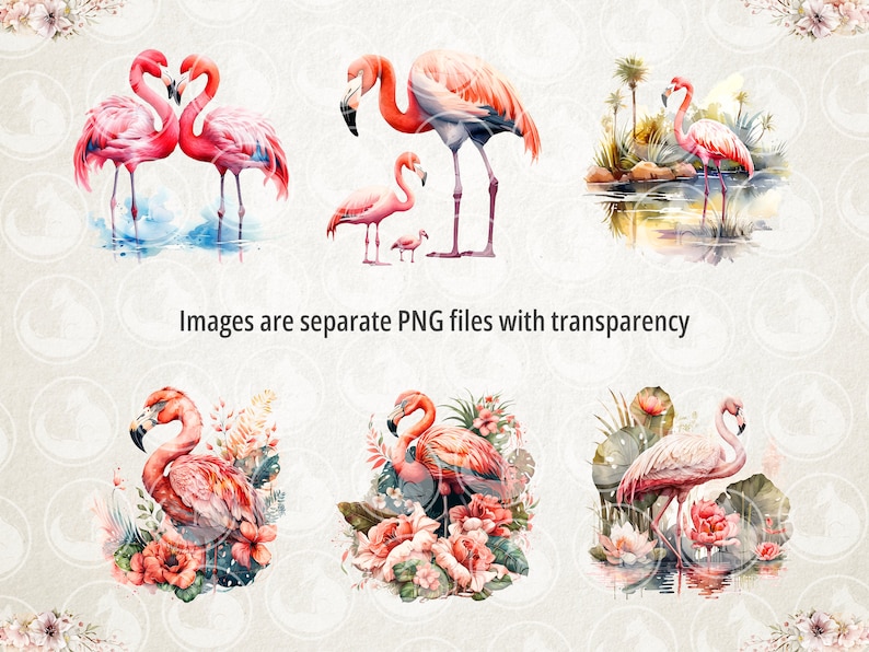 Watercolor Flamingo Clipart. Tropical Birds With Flowers in PNG Format ...