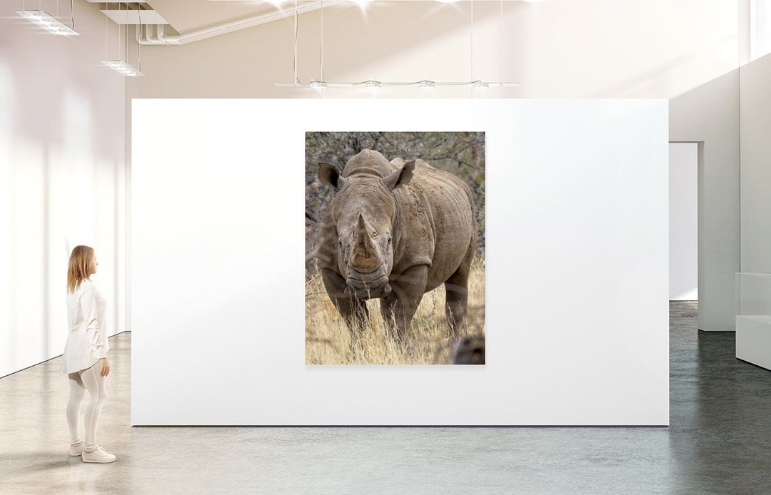 Rhinoceros, Wall Art Print, African Animal Picture - Etsy