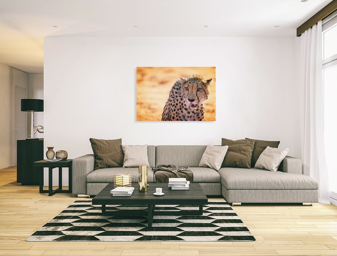 Cheetah in the Kalahari Art Print, Wall Art Print, Animal Photo ...