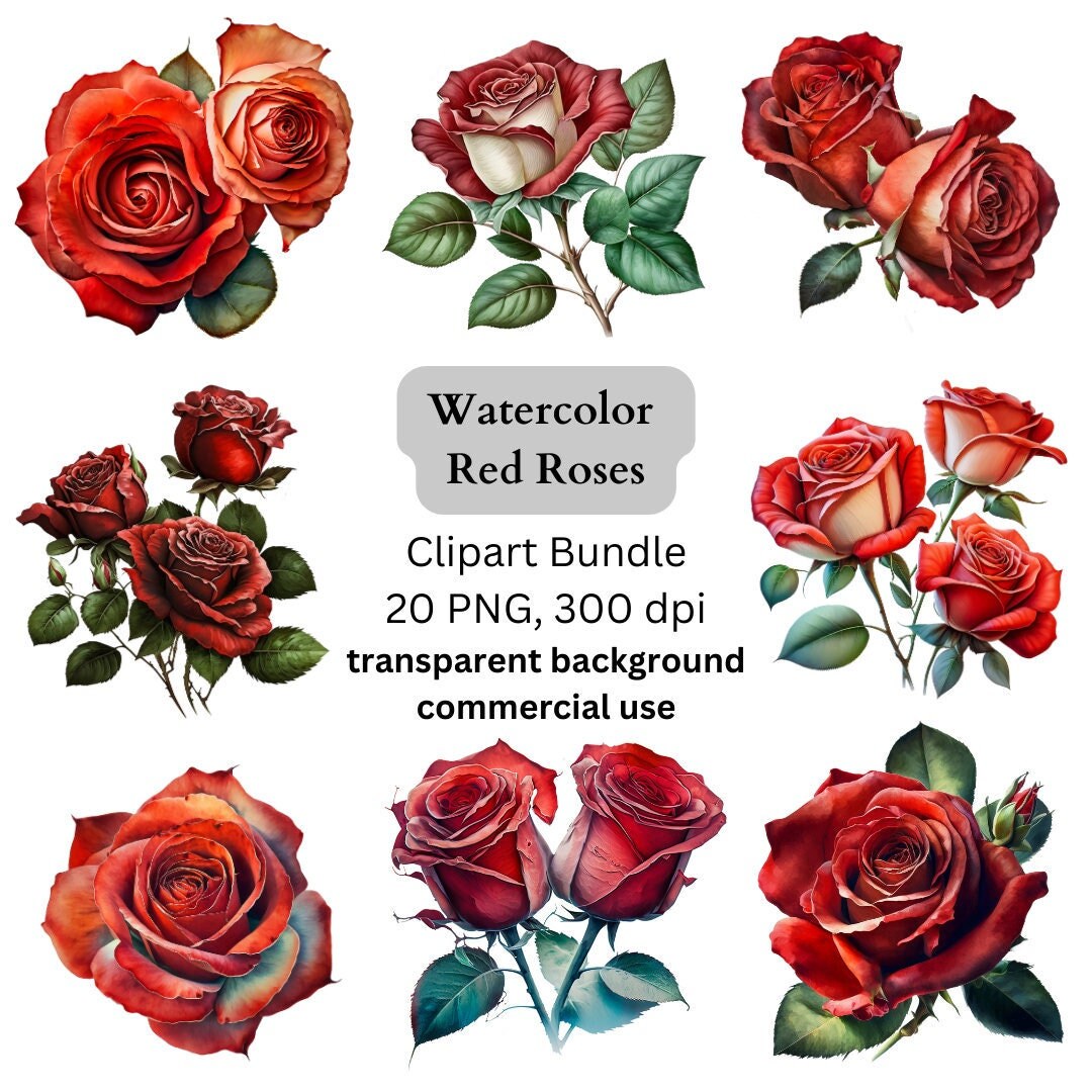 Red Roses Watercolor Clipart 20 PNG Transparent Background - Etsy
