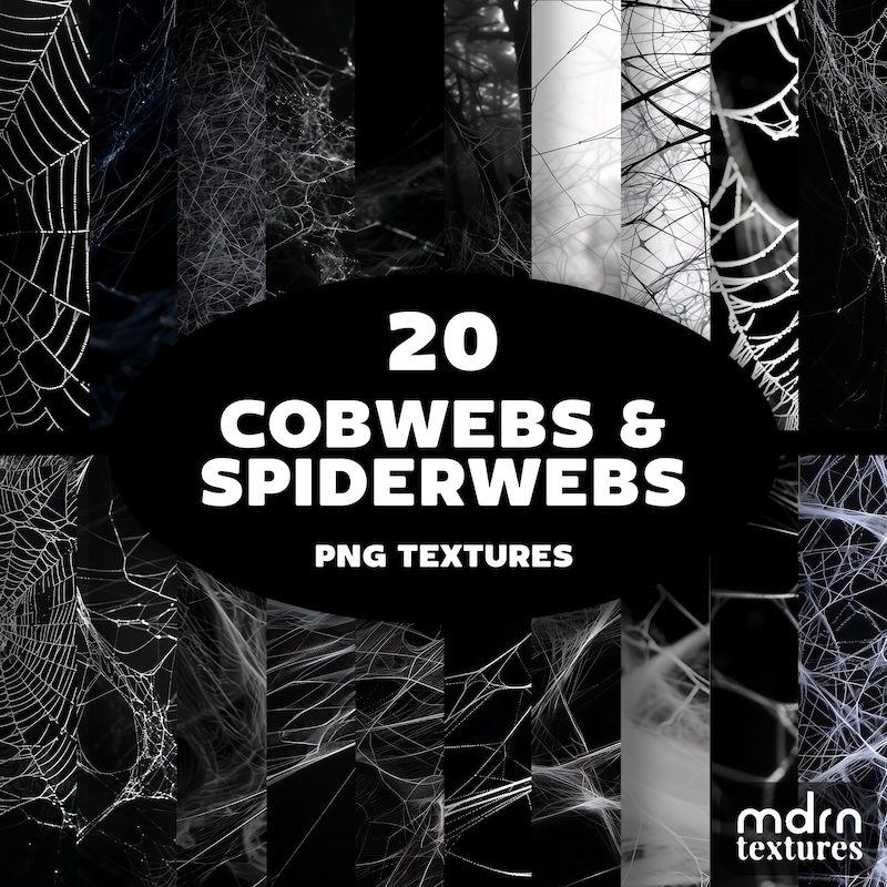 Cobweb Clip Art - Etsy