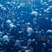 Underwater Bubbles Textures | Digital Paper for Backgrounds, Overlays ...
