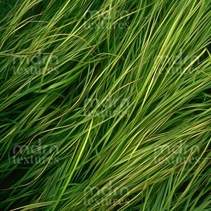 Grass Textures | Digital Paper for Backgrounds, Overlays, Photo Editing ...