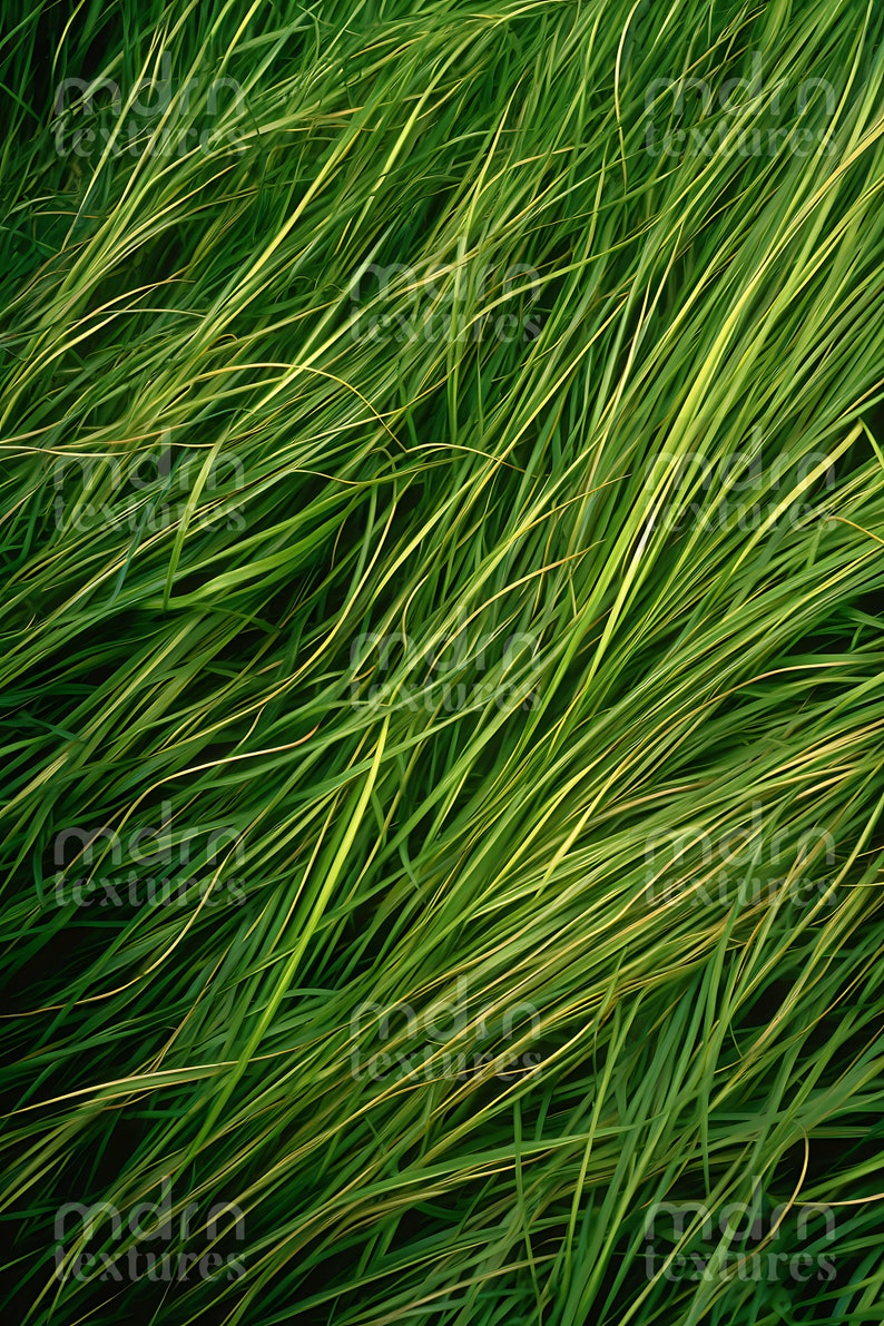 Grass Textures | Digital Paper for Backgrounds, Overlays, Photo Editing ...