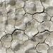 Dirt + Soil Textures | Digital Paper for Backgrounds, Overlays, Photo ...
