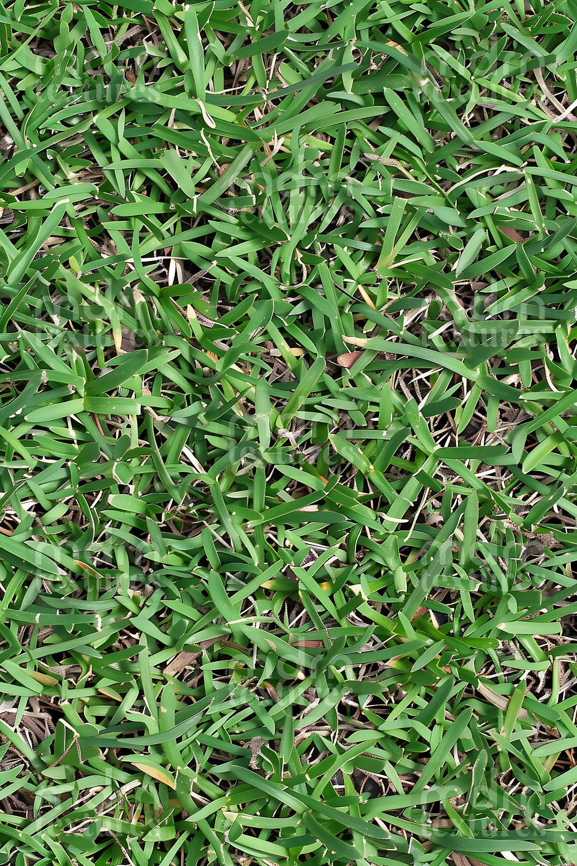 Grass Textures | Digital Paper for Backgrounds, Overlays, Photo Editing ...