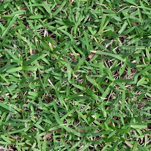 Grass Textures | Digital Paper for Backgrounds, Overlays, Photo Editing ...