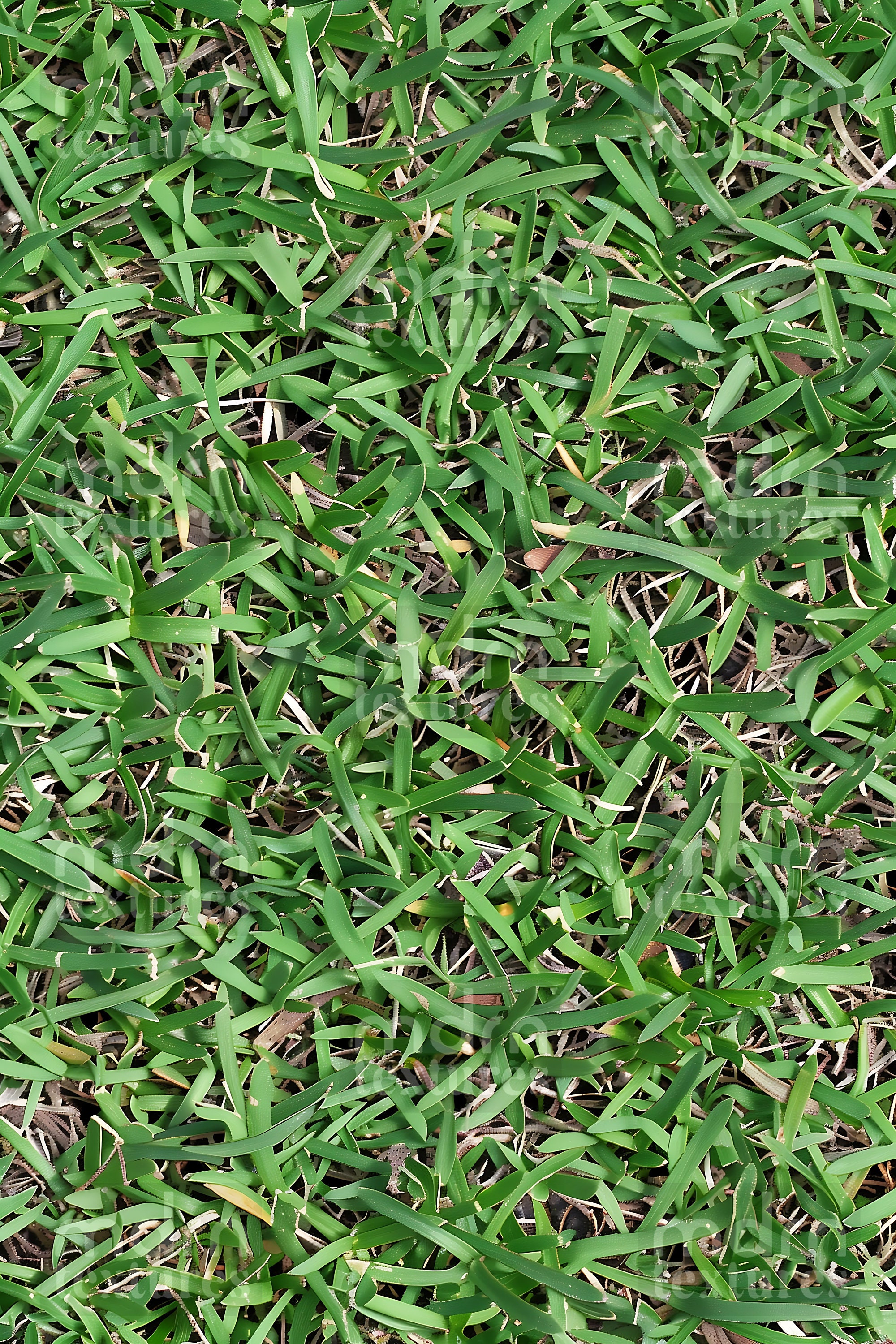 Grass Textures | Digital Paper for Backgrounds, Overlays, Photo Editing ...