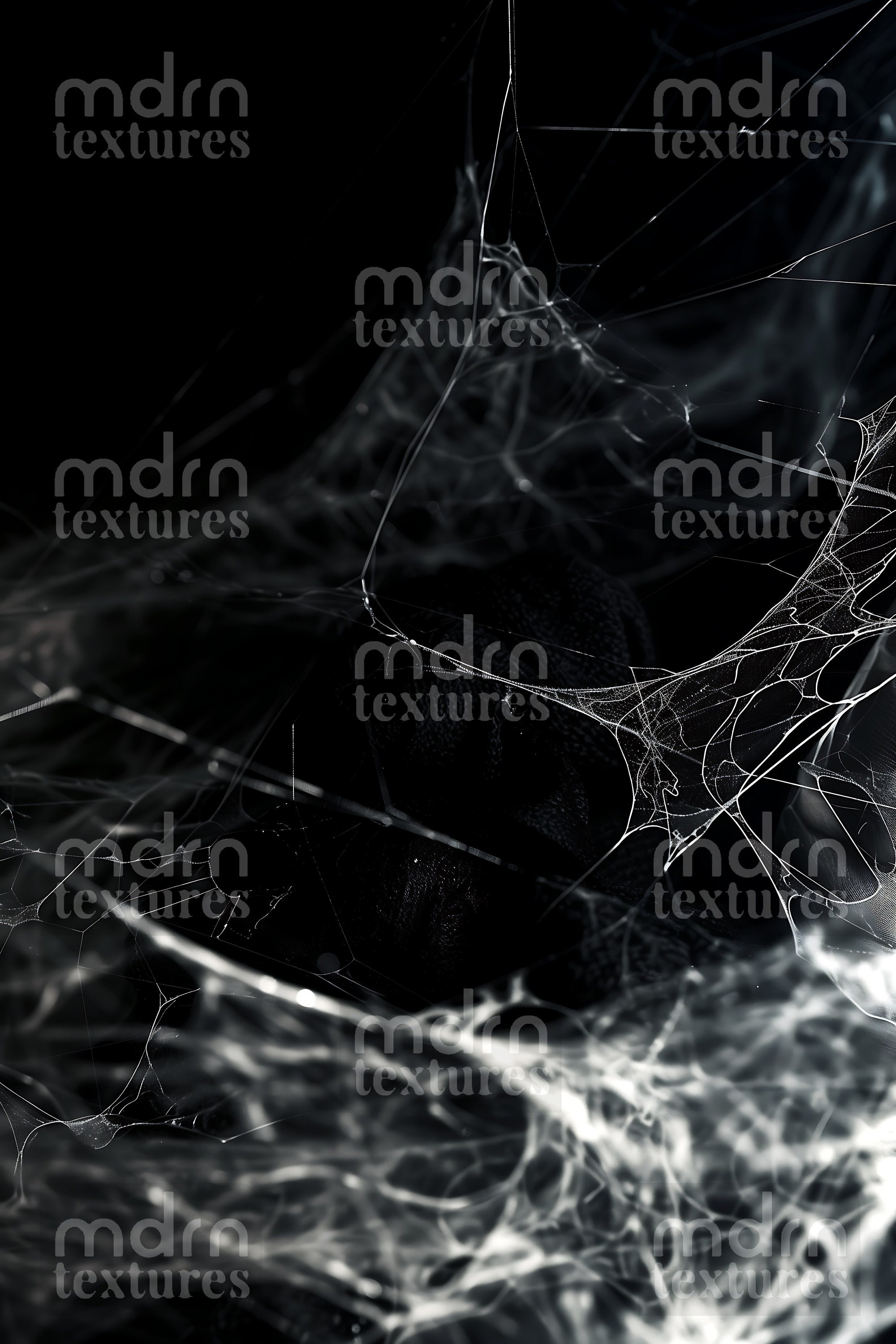 Cobwebs and Spiderweb Textures | Digital Paper for Backgrounds ...