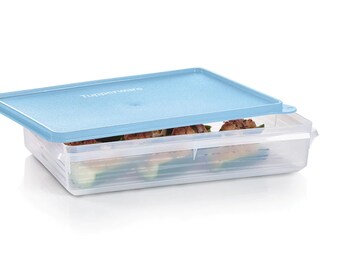 Tupperware 9 Inch SQUARE SNACK STOR Store Container Clear Container ...