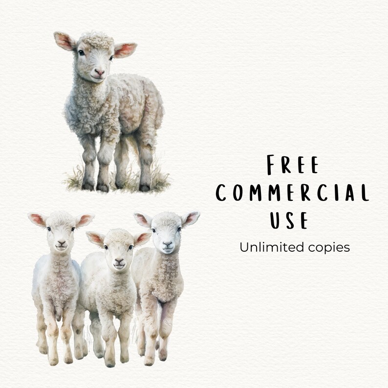 6 X Lamb Illustration Spring Lambs Clipart Watercolour Art 300 DPI Pngs ...
