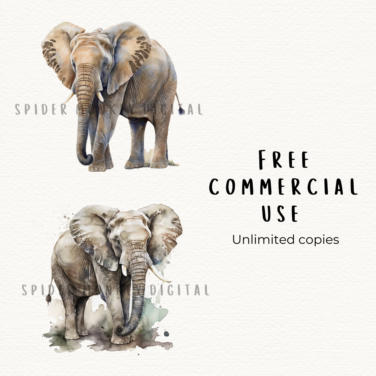 Elephant Watercolor Clipart Bundle Elephant Illustration Safari Clipart ...