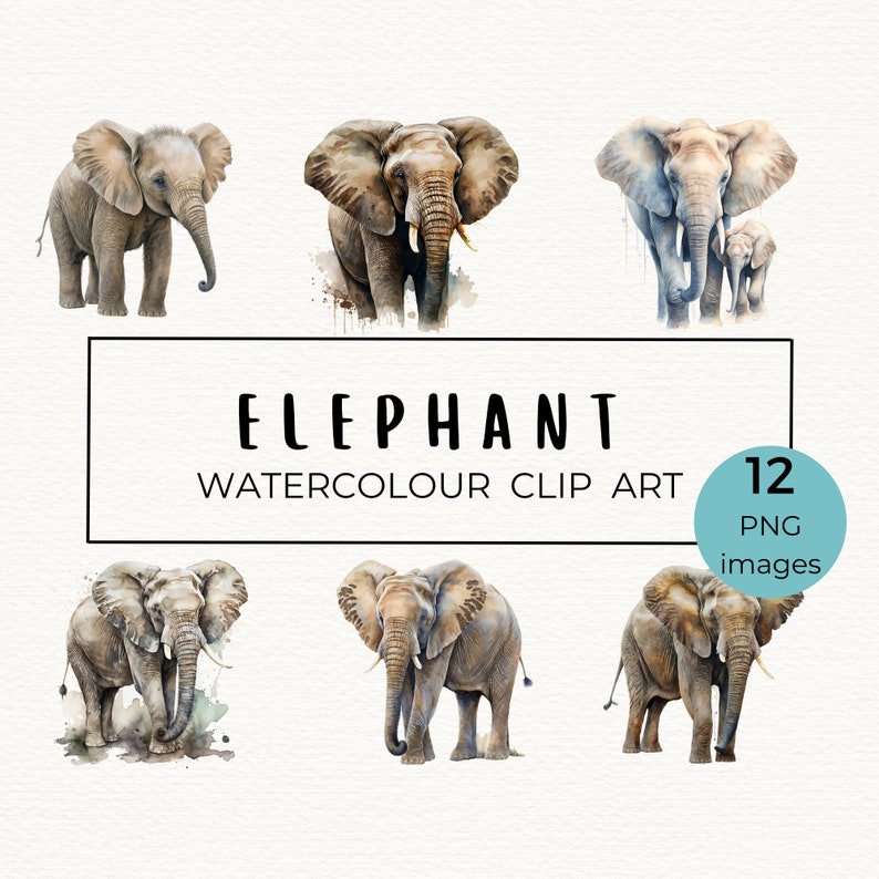 Elephant Watercolor Clipart Bundle Elephant Illustration - Etsy