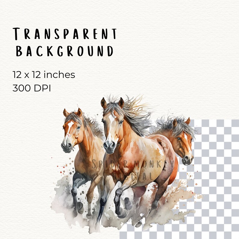 6 X Horse Illustration Farm Clipart Watercolour Art 300 - Etsy