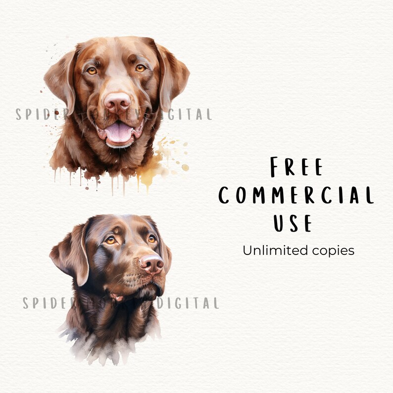Chocolate Labrador Watercolor Clipart Bundle Chocolate Lab Illustration ...