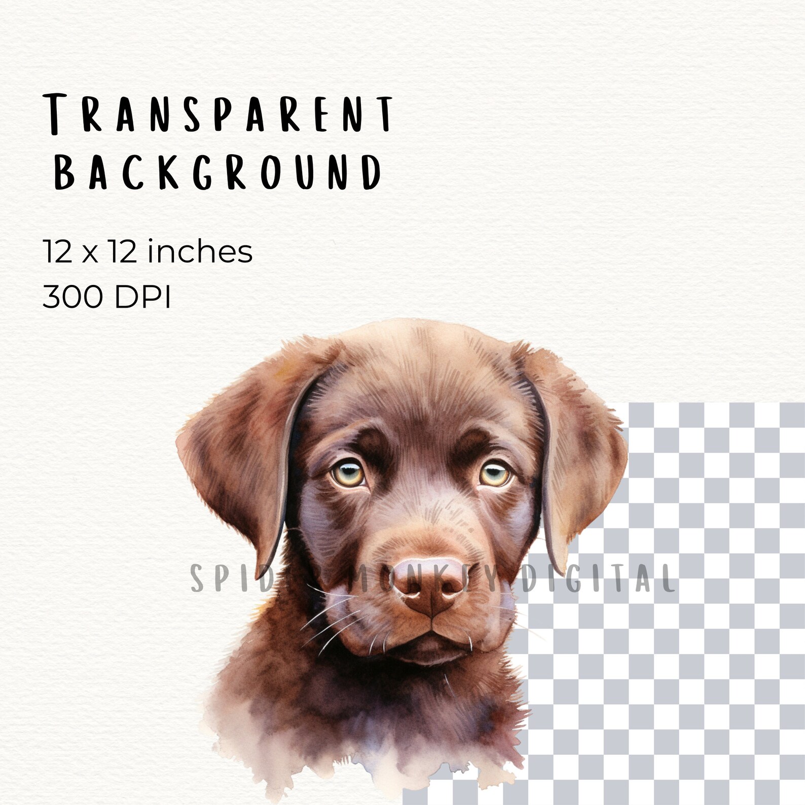 Chocolate Labrador Watercolor Clipart Bundle Chocolate Lab Illustration ...