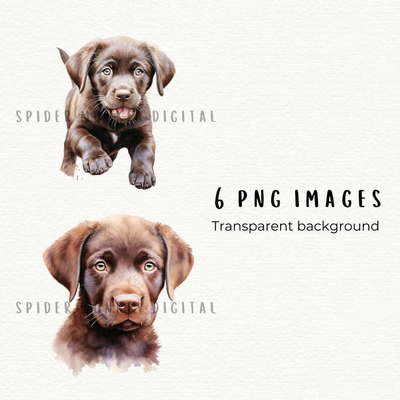 Chocolate Labrador Watercolor Clipart Bundle Chocolate Lab Illustration ...