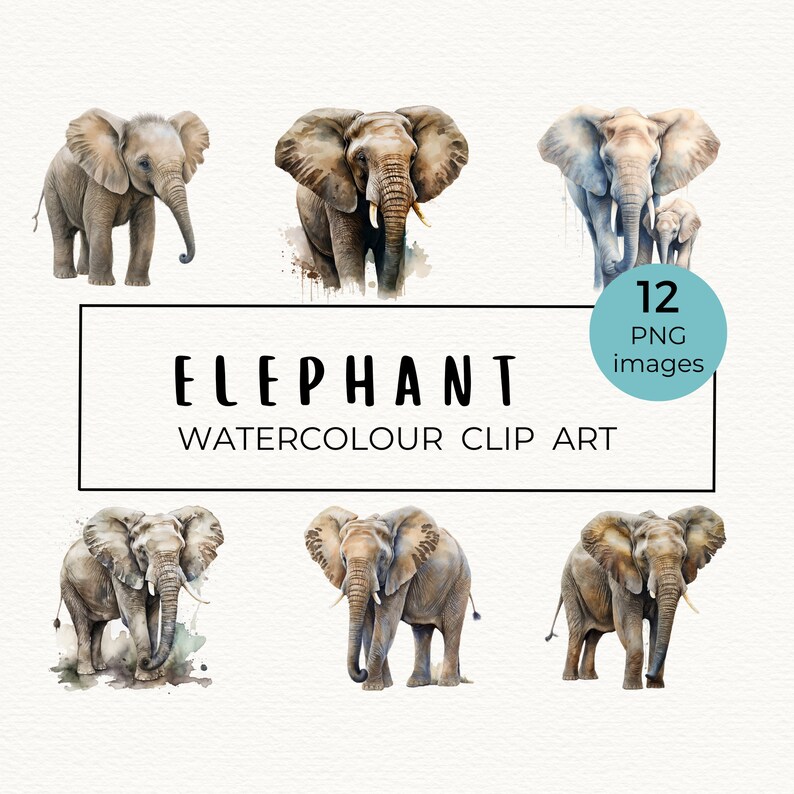 Elephant Watercolor Clipart Bundle Elephant Illustration Safari Clipart ...