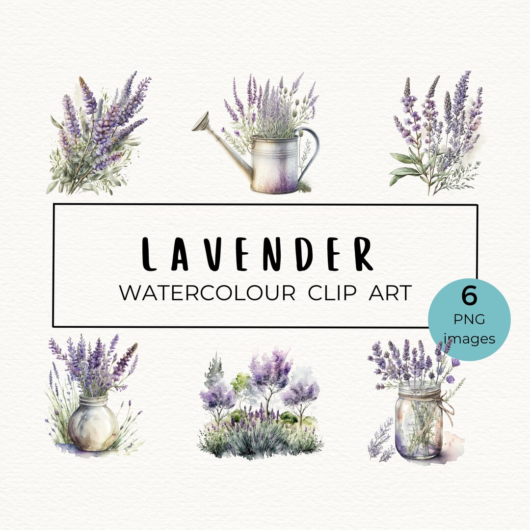 Lavender Watercolor Clipart 6 PNG Digital Downloads, Flower Watercolour ...