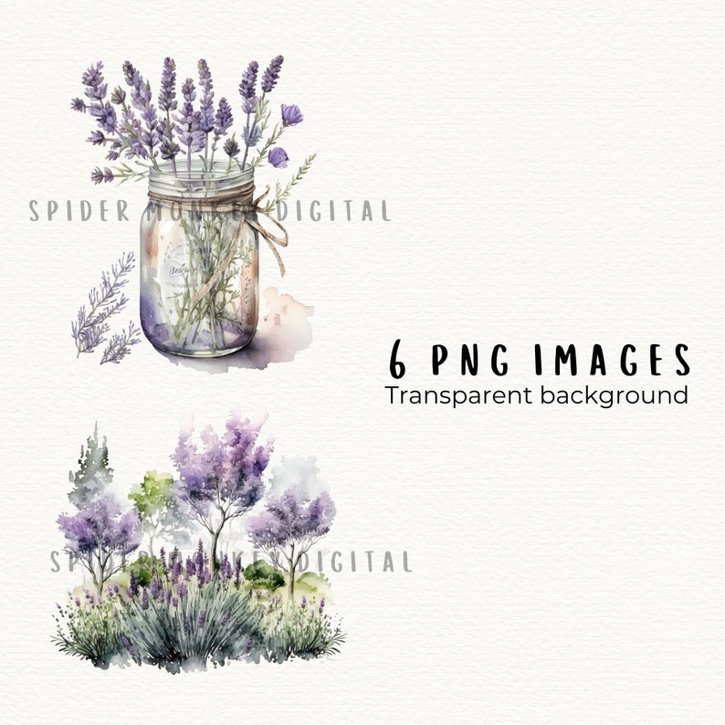 Lavender Watercolor Clipart 6 PNG Digital Downloads, Flower Watercolour ...