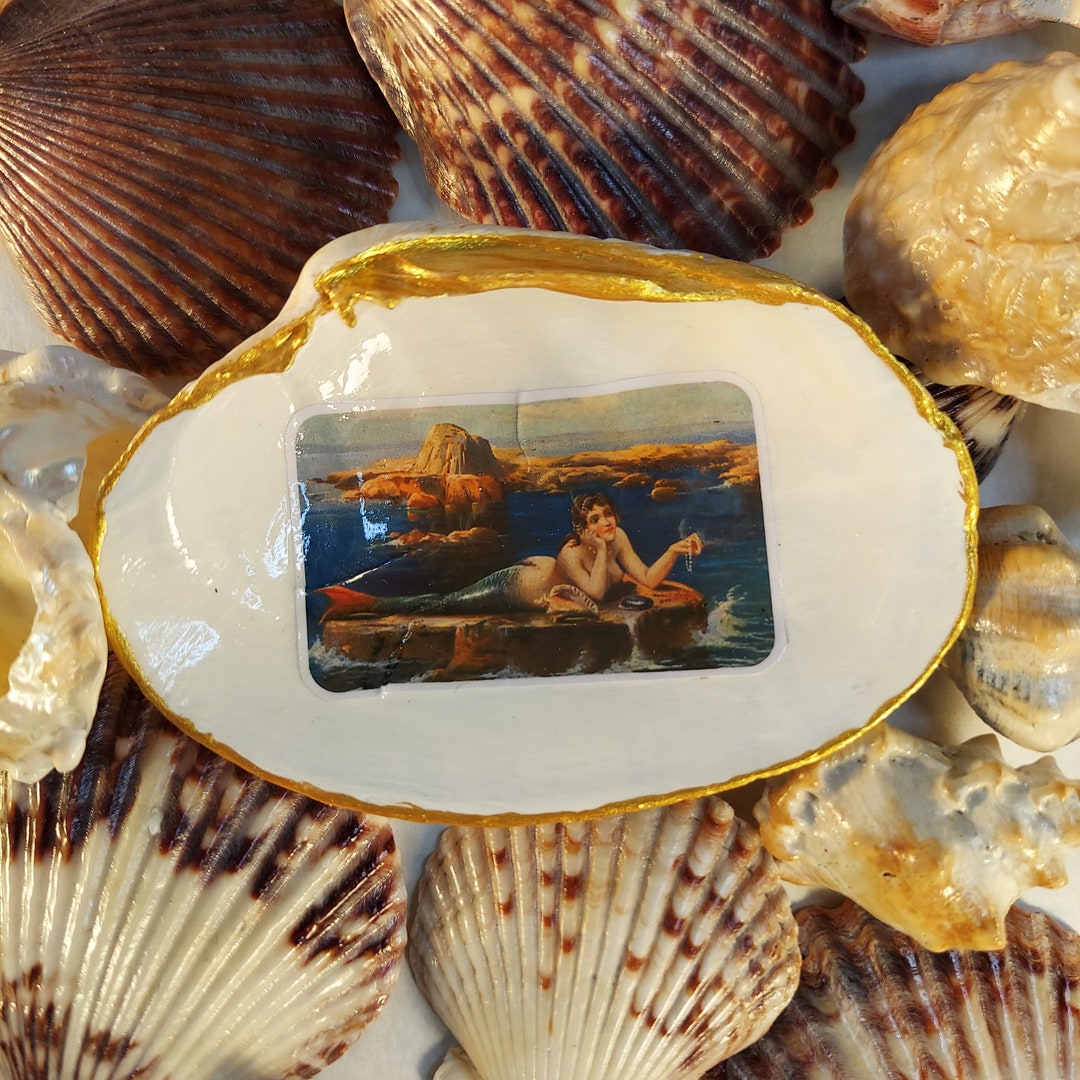 Mermaid Pacific Butter Clam Ring and Jewelry Dish - Etsy