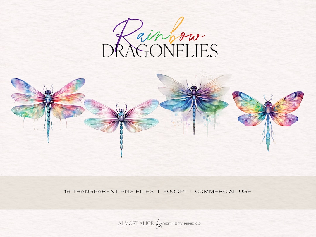 Rainbow Dragonfly Clipart: 18 Transparent Pngs (commercial Use) - Etsy