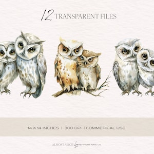 Snowy Owls Clipart Clipart Bundle, Snow Owl, Nature Clipart, Bird ...
